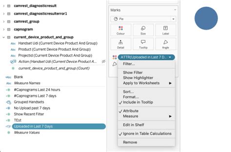 Why Can Some Calculated Booleans Be Dimensions For A Pie Chart And