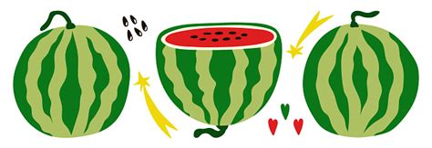 잘 익은 붉은 수박 전체 와 반 수박 여름 디자인을위한 육즙 과일 세트 플랫 스타일로 재미있는 현대 일러스트 밝은 다채로운 요소 개체 그룹에 대한 스톡 벡터 아트 및 기타