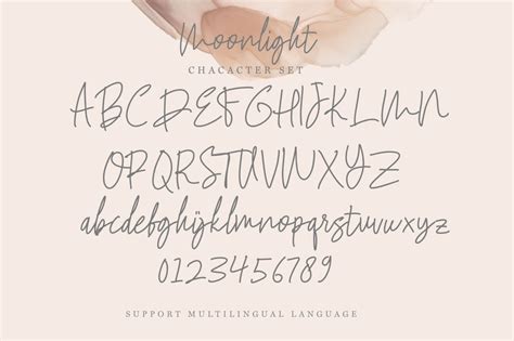 Moonlight Script So Fontsy