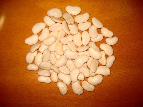 CHEF SAMBRANO THE LIMA BEAN S HEALTH BENEFITS