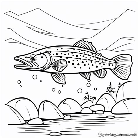 Brook Trout Coloring Pages Free And Printable