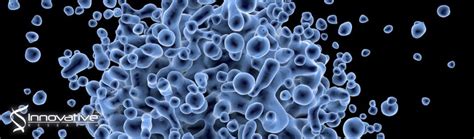 Integrated Dielectrophoretic And Impedimetric Biosensor Provides A Tem Innovative Research