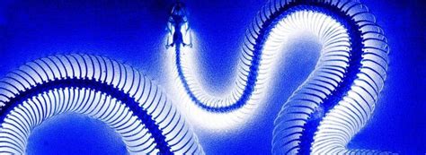 Python Packages For Data Mining Rpython