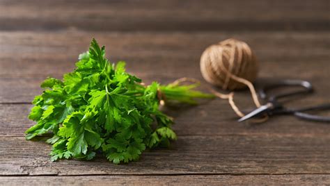 나무 테이블 가위 및 로프에 신선한 파슬리 선택적 초점 소박한 스타일 0명에 대한 스톡 사진 및 기타 이미지 0명 건강한 식생활 고명 Istock