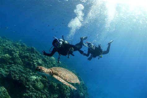 沖縄慶良間北谷発フル器材レンタル込みケラマ諸島2ボートファンダイビング 当日リクエストで3ダイブも可水中写真プレゼント付き
