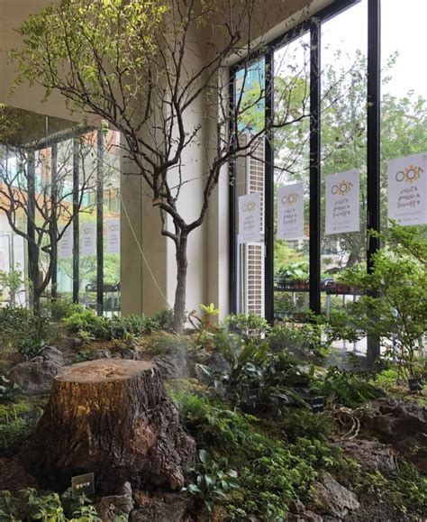 개포동의 바이오필릭 그래서 바이오필리아가 뭐냐구 비바람을 피해 인전한 공간을 만들며 수천년동안 인간은 자연과 담을 쌓기 시작했어 그런데 사람이 뭐야 원래 흙에서