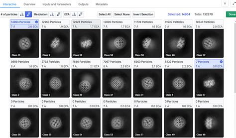 select 2d using templates excluded and particles excluded from previous selection gives