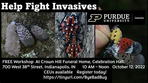 Free Early Pest Detector Workshop