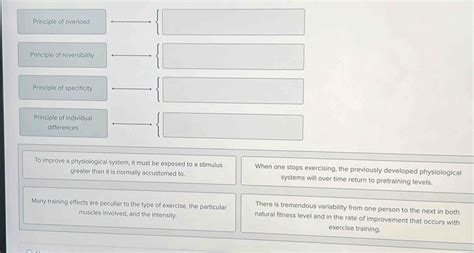 Solved Principle Of Overload Principle Of Reversibility Principle Of