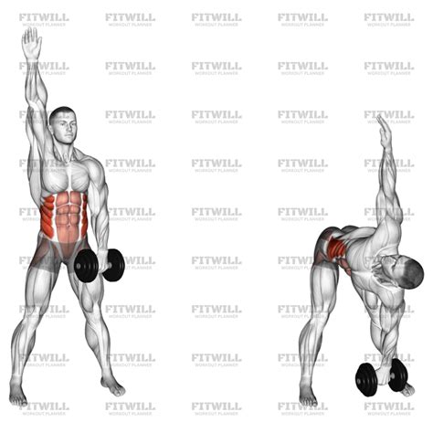 Dumbbell Low Windmill Exercise Guide Video Techniques Benefits How To Muscles Worked Tips