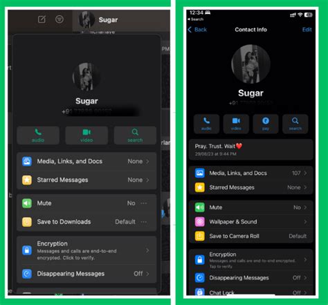 Quick Review The New WhatsApp For MacOS Bytespired