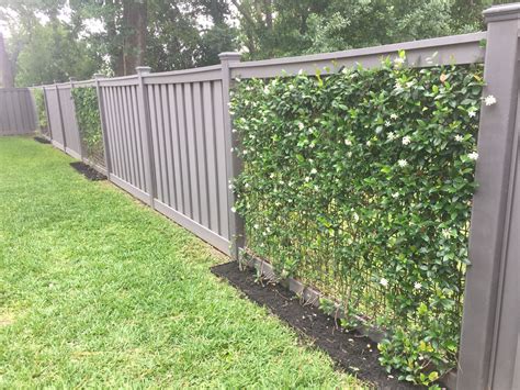 Project Spotlight Wire Mesh Garden Panels Backyard Fences Vine Fence Fences Alternative