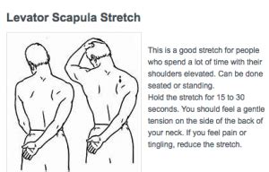 Osteopathy Massage And Acupuncture For Upper Back Pain Osteopath In