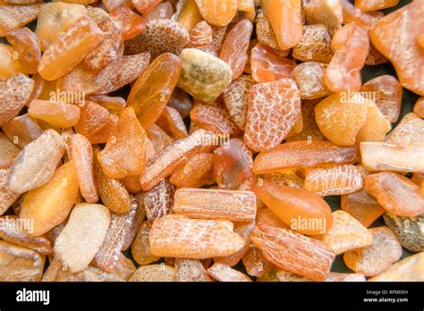 Macro Close Up Of An Amber Stones From Baltic Sea Multicolored