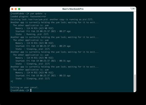 Fixing The Another App Is Currently Holding The Yum Lock Error On Centos