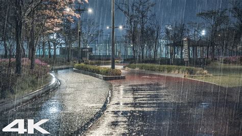 늦은 밤 한적한 공원에 쏟아지는 편안한 빗소리에 잠을 청하세요 비오는소리 백색소음 Asmr Youtube