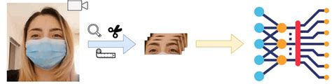 A Brief Workflow Of The Face Recognition Method Phase 1 Download Scientific Diagram