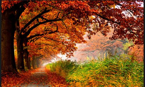 Pathway To Recovery Llc Suboxone Suboxone Clinic Massachusetts