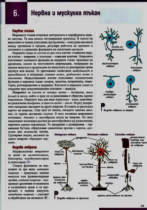 Medicina Rentgenologiq Мамография на млечната жлеза ацияКонтакти Категории Профилактика и
