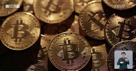 트럼프 테마비트코인·테슬라 ‘겁없는 질주