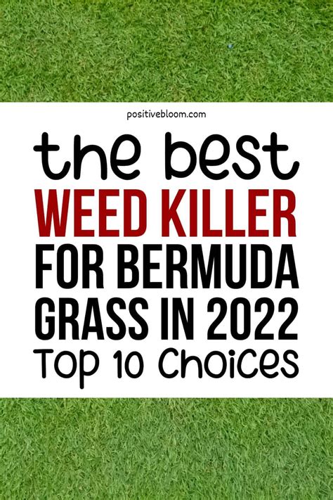 The Best Weed Killer For Bermuda Grass In 2024 Top 10 Choices