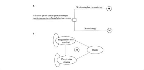 Model Structure Of A Decision Tree Combining The Markov State Download Scientific Diagram