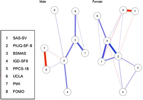 Partial Correlation Network Of Subtypes For Piu And Correlates