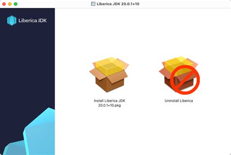 Liberica Jdk 200110 Install Guide