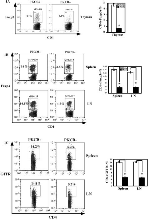 Figure 1 From Differential Requirement Of Pkc θ In The Development And