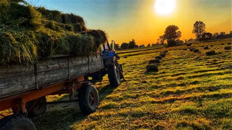 Не думав що вийде стільки сіна Гроші під ногами Youtube