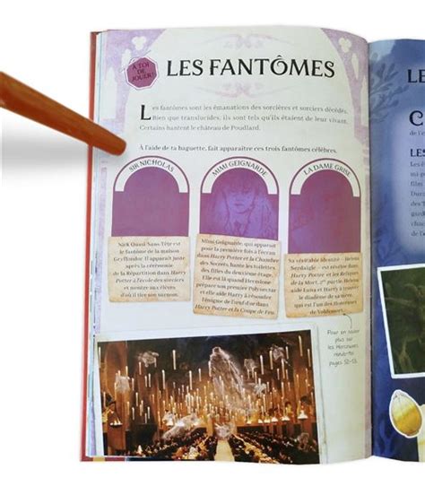 Sortilège Le Guide La Magie à Poudlard Harry Potter