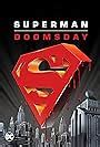 Superman Doomsday Video 2007 Full Cast And Crew Imdb