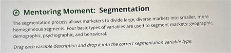 Solved The Segmentation Process Allows Marketers To Divide