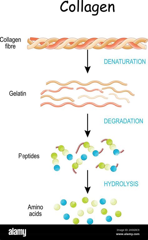 Hydrolysis Synthesis
