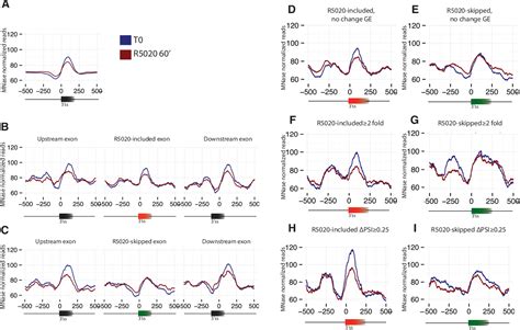 Figure 2 From Relationship Between Nucleosome Positioning And Progesterone Induced Alternative
