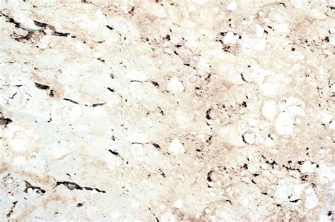 정맥 벽과 바닥 클래딩이 있는 대리석 배경 자연석 질감 프리미엄 사진