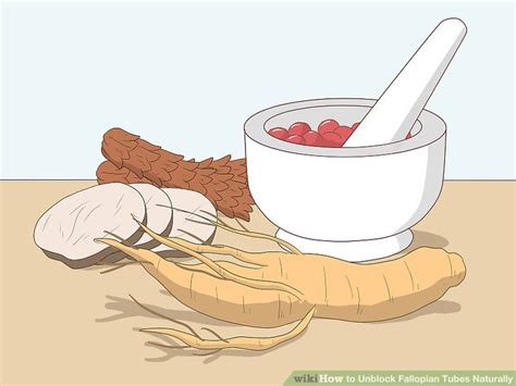 How To Unblock Fallopian Tubes Can Natural Remedies Help