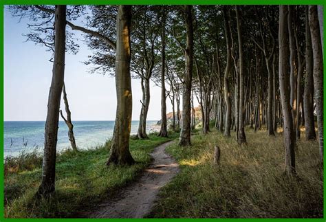 How Barcodes Eliminate Human Error How Barcodes Eliminate Human Error