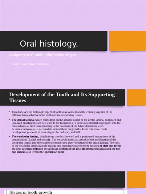 Tooth Germ Histology And Development Pdf Animal Anatomy Anatomy