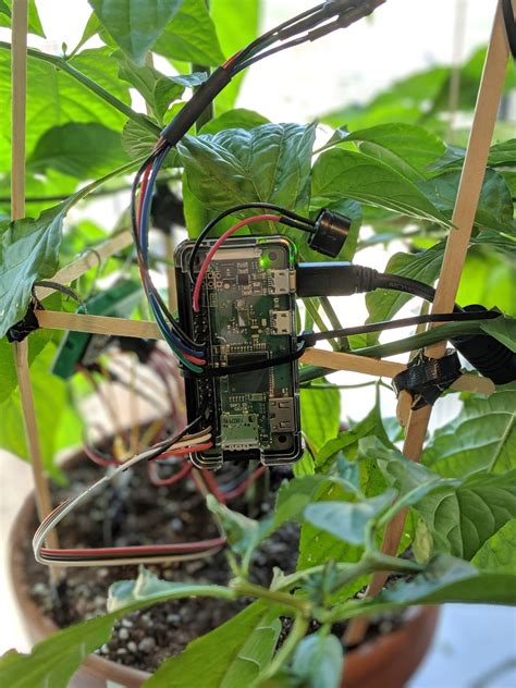 peppers python cesspool of knowledge