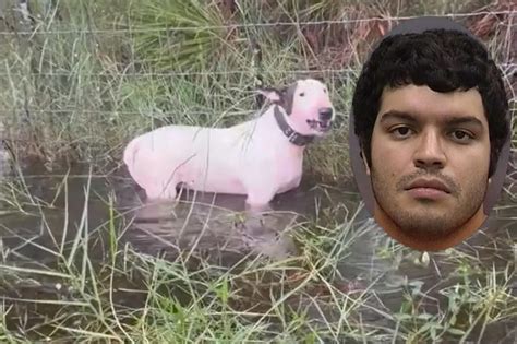 Animal Cruelty Suspect Arrested For Leaving Dog On I 75 Ahead Of