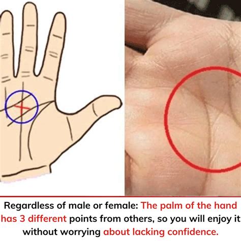 Regardless Of Male Or Female The Palm Of The Hand Has 3 Different Points