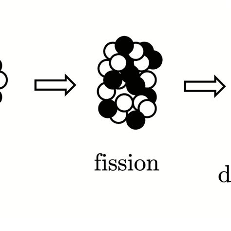 1 Neutron Induced Fission Of The 235u Nucleus Source 54