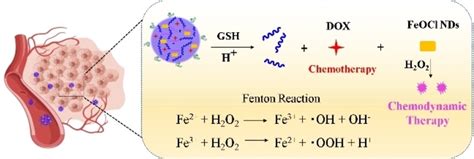Feocl Nanodots And Doxorubicin Co‐loaded Polymer Nanoparticles For Glutathioneph‐responsive