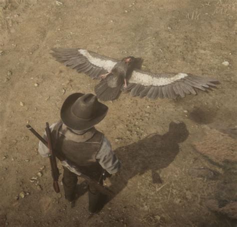 Big Ass Bird I Saw In Online R Reddeadredemption