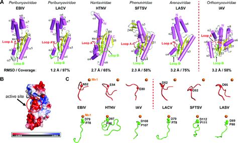 Crystal Structure Of Ebiv En And Comparison With Other Snsv Download Scientific Diagram