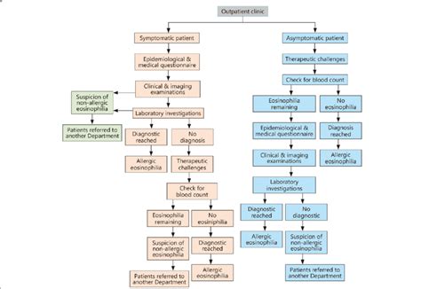 Proposed Algorithm For Seeking Allergic Causes In Eosinophilic Patients