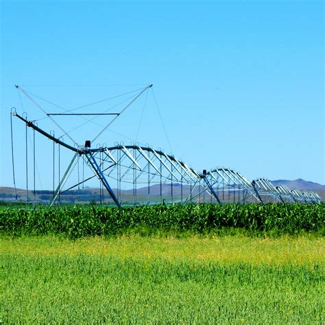 Supply Linear Move Irrigation Machine Promotions Wholesale Factory