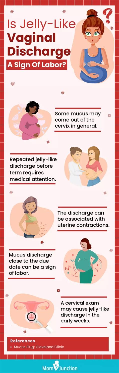 Mucus Plug Pregnancy