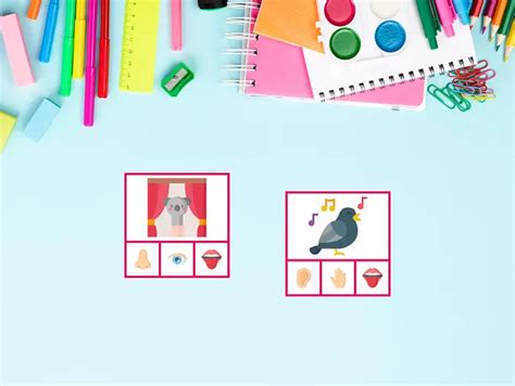 Εκπαιδευτικό υλικό για το ανθρώπινο σώμα για παιδιά